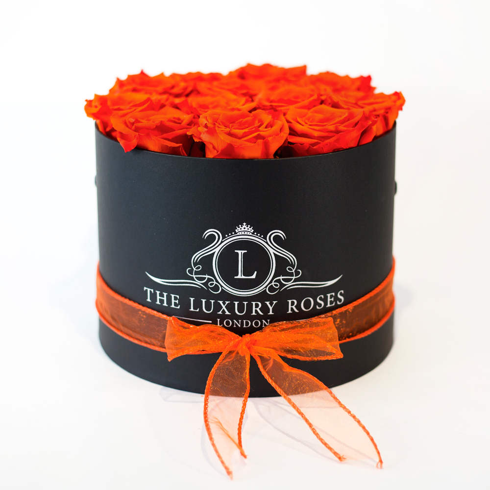 Project__Luxury_Roses_Of_London-Photoshoot18-1000-x-1000 - Preserved ...