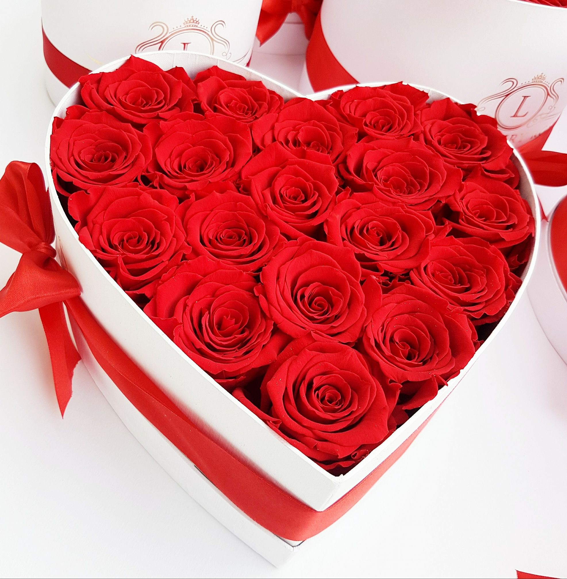 White love heart infinity roses - Preserved Rose Arrangements ...