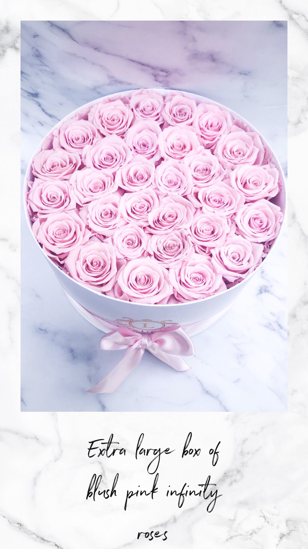 Extra large white box of pink infinity roses - Preserved Rose ...